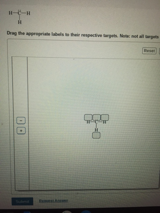 Solved Drag the appropriate labels to their respective | Chegg.com