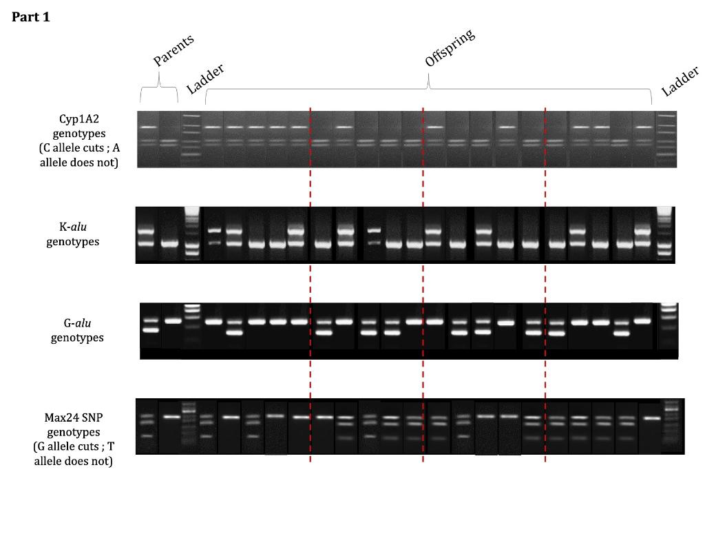 Data analysis for part 1 See the given part 1 data | Chegg.com
