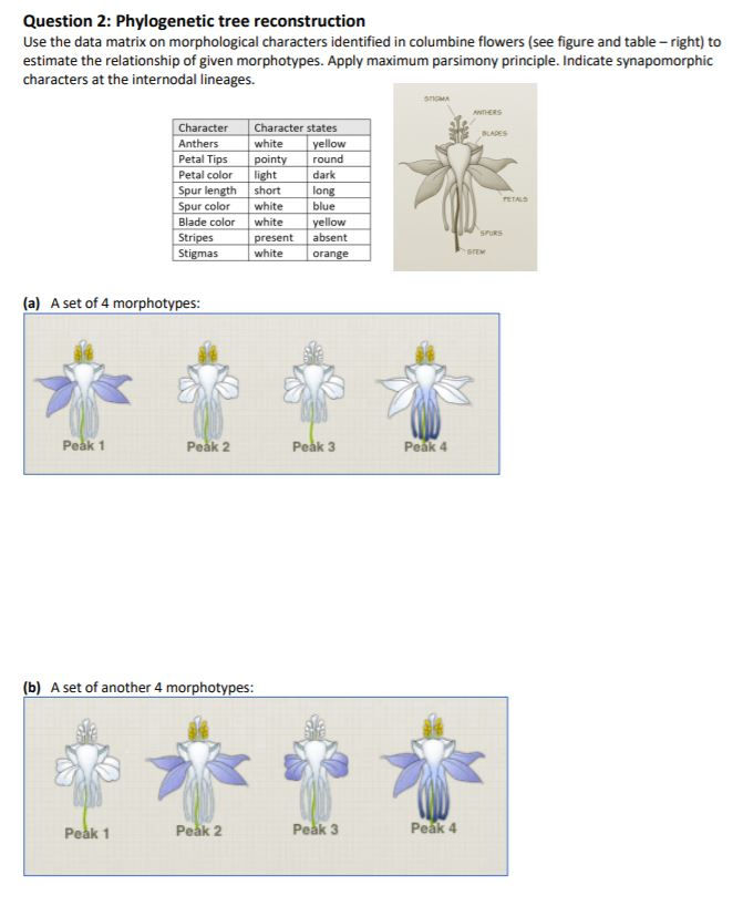 Question 2: Phylogenetic tree reconstruction Use the | Chegg.com