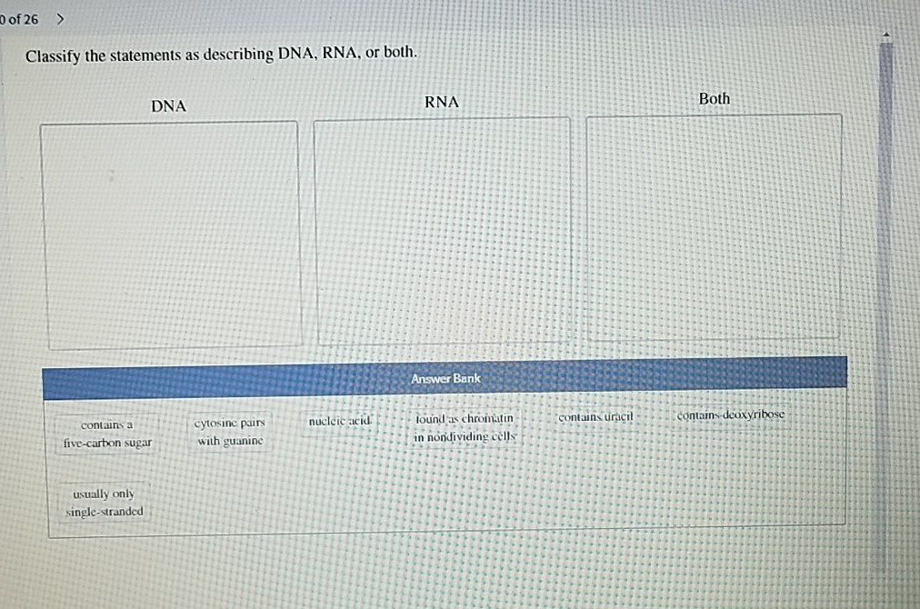 Solved of 26 > Classify the statements as describing DNA, | Chegg.com