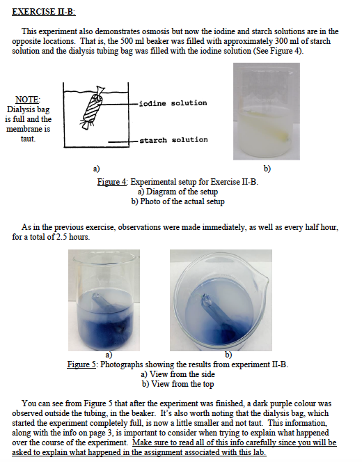 Solved PART II: Osmosis Each cell is enclosed by a | Chegg.com