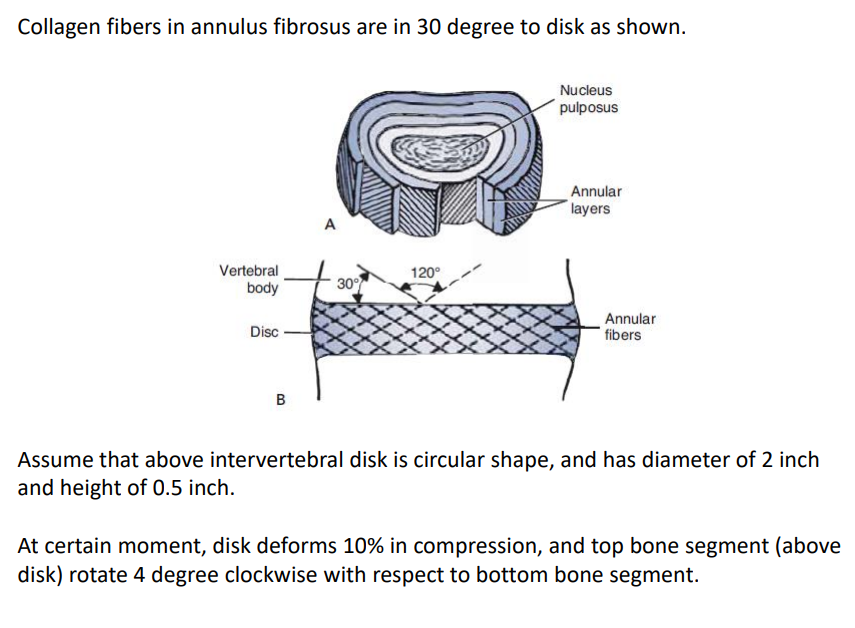 Collagen fibers in annulus fibrosus are in 30 degree | Chegg.com