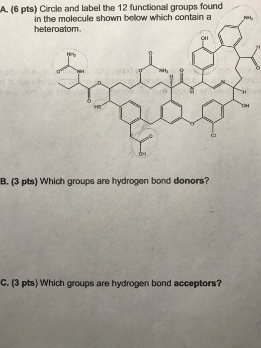 Solved Circle and label the 12 functional groups. I’ve | Chegg.com