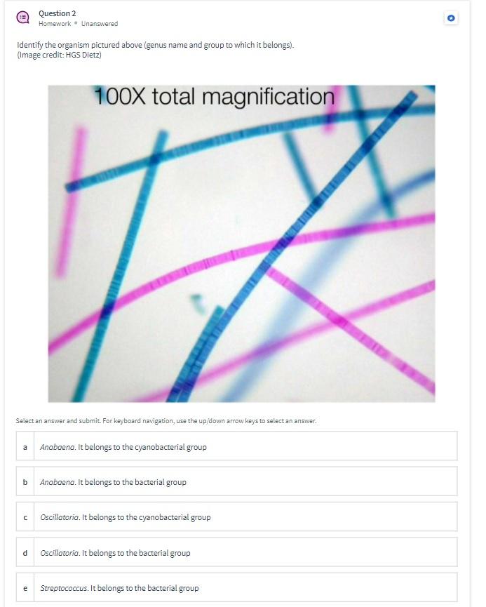 Solved Question 2 Homework. Unanswered identify the organism | Chegg.com