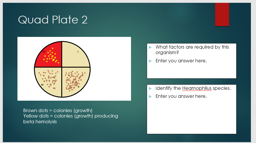 Solved Quad Plate 2 What factors are required by this | Chegg.com