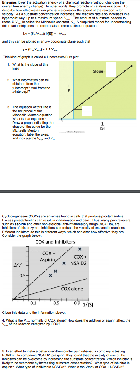 Solved Enzymes lower the activation energy of a chemical | Chegg.com