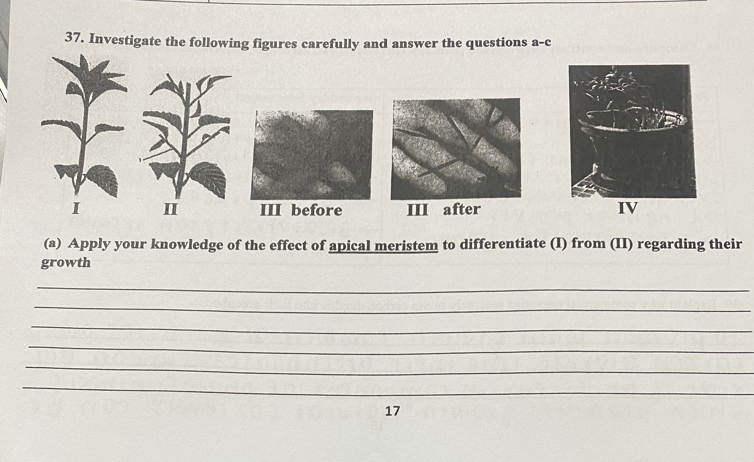 Solved Investigate the following figures carefully and | Chegg.com