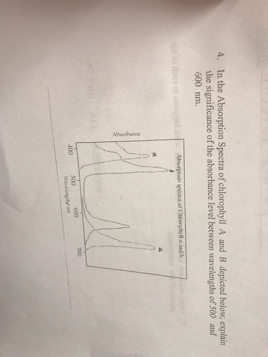 Solved In the Absorption Spectra of chlorophyll A and B | Chegg.com