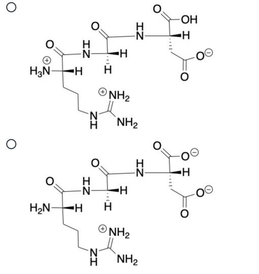 Solved The structure of the fully protonated form of the | Chegg.com