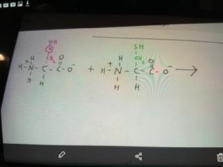 Solved SH w + N- cu H -N-C.co + HN 2-0 → Hн | Chegg.com