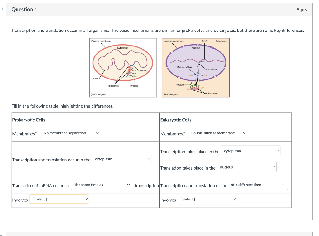 Solved Transcription and translation occur in all organisms. | Chegg.com