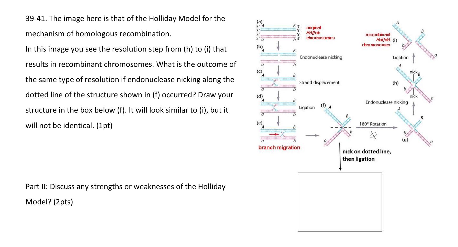 Solved 33-35. V(d)J Recombination occurs in B and T-cells in | Chegg.com