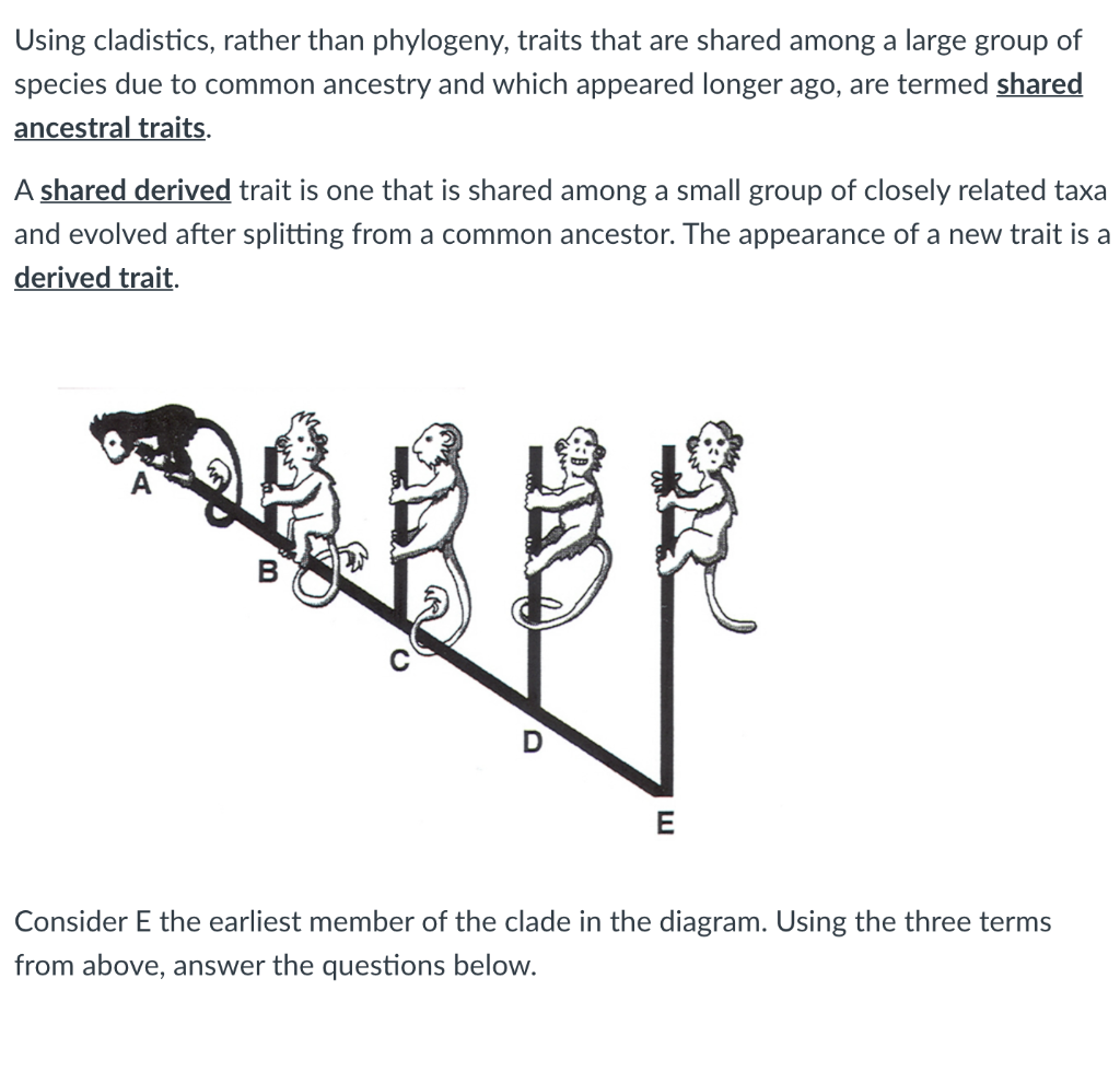 Solved Using cladistics, rather than phylogeny, traits that | Chegg.com