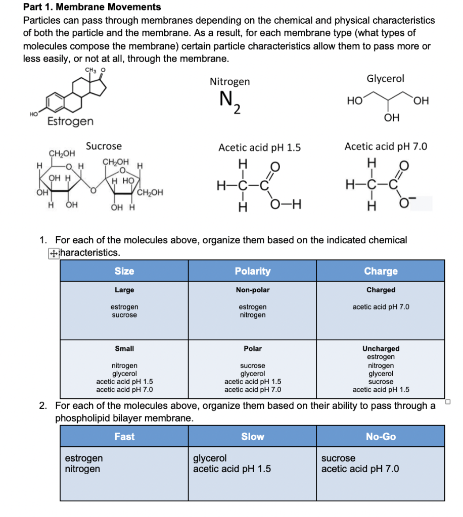 Solved Part 1. Membrane Movements Particles can pass through | Chegg.com