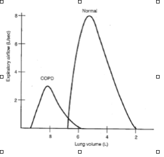Solved A patient has chronic obstructive pulmonary | Chegg.com