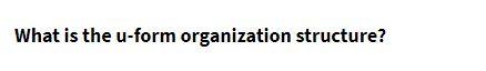Solved What is the u-form organization structure? | Chegg.com