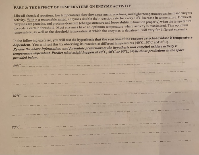 Solved PART 3: THE EFFECT OF TEMPERATURE ON ENZYME ACTIVITY | Chegg.com