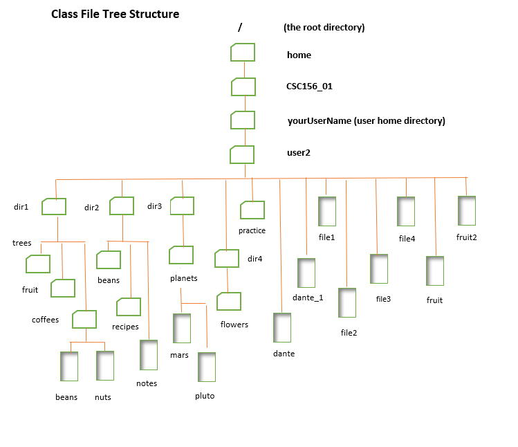 Solved Class File Tree Structure (the root directory) home | Chegg.com