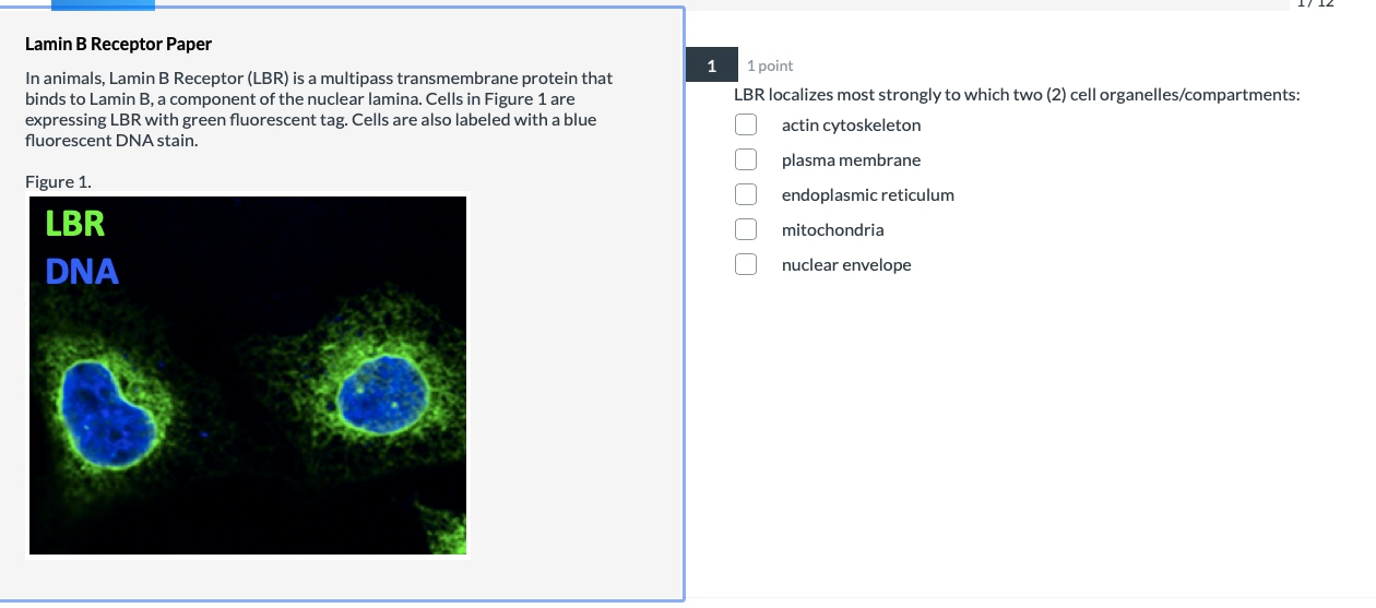 Solved Lamin B Receptor Paper 1 In animals, Lamin B Receptor | Chegg.com