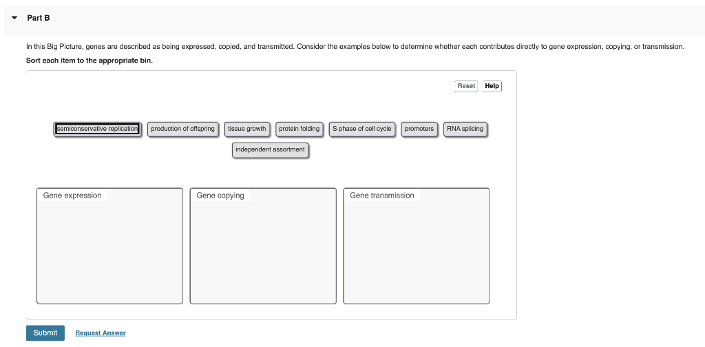 Solved Sort each item to the appropriate bin. | Chegg.com