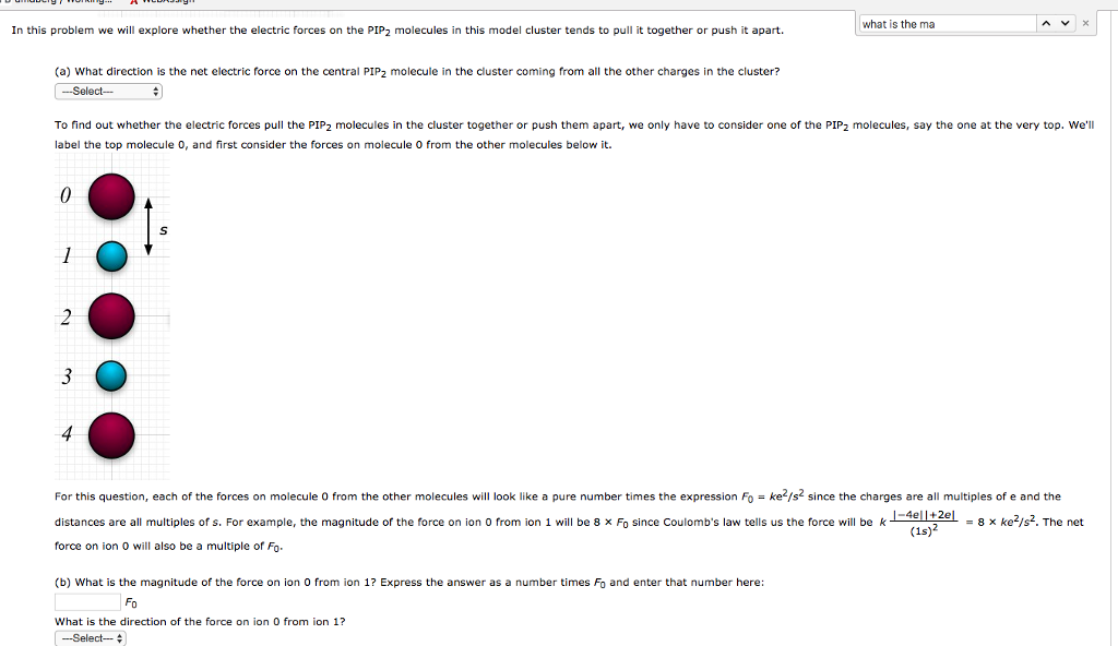 Solved The phospholipid molecule PIP2 (phosphatidylinositol | Chegg.com