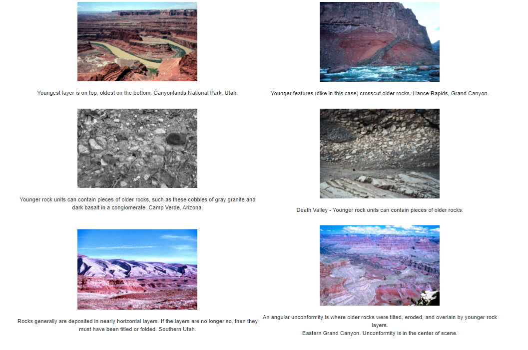 Solved MODULES Worksheet 8A. Using the principles of | Chegg.com