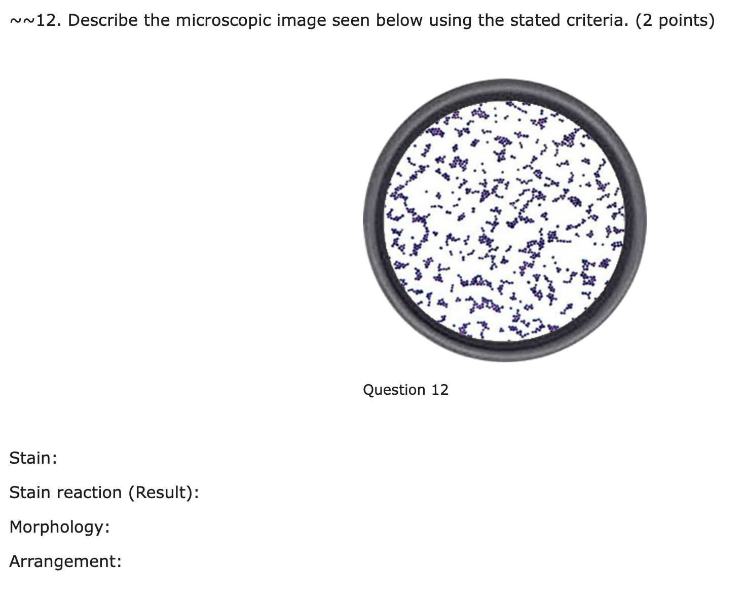 Solved ∼∼12. Describe the microscopic image seen below using | Chegg.com