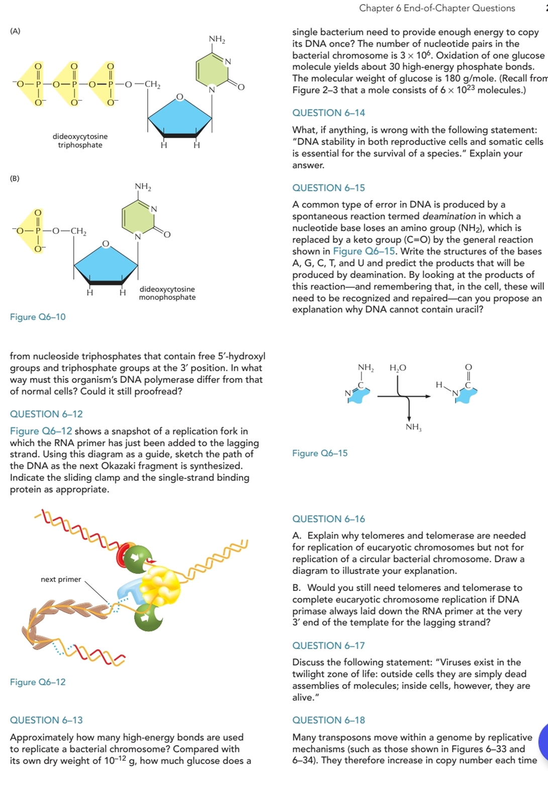 Solved QUESTIONS QUESTION 6-6 DNA mismatch repair enzymes | Chegg.com