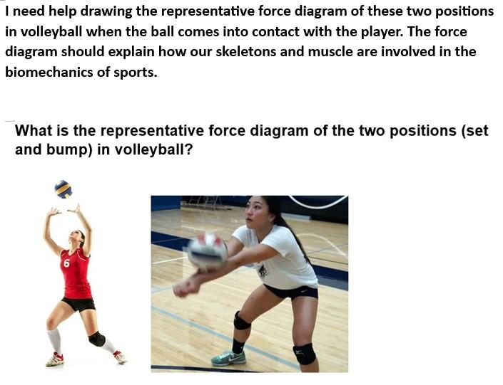 Solved I need help drawing the representative force diagram | Chegg.com