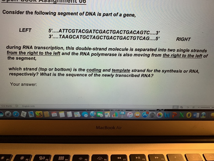 Solved Consider the following segment of DNA is part of a | Chegg.com