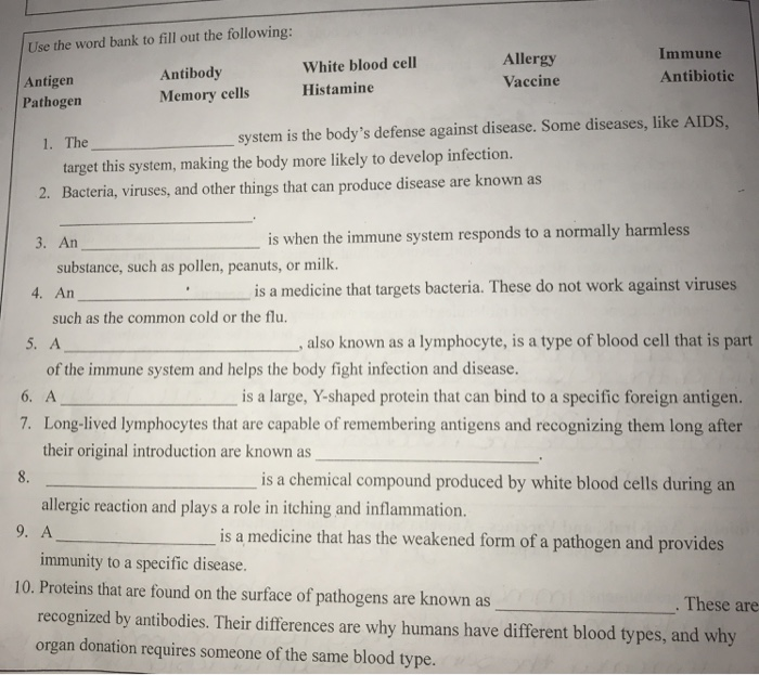 Solved Use the word bank to fill out the following: Immune | Chegg.com