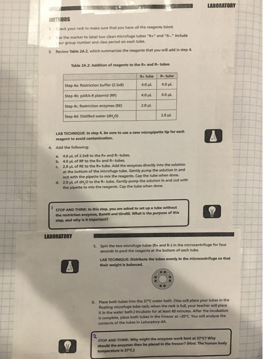 Solved 1) how do your results compare to your predictions? | Chegg.com