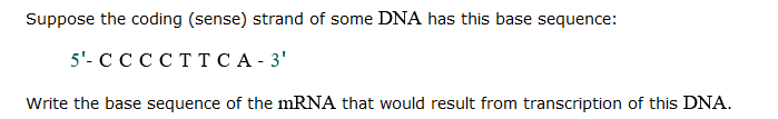 Solved Suppose the coding (sense) ﻿strand of some DNA has | Chegg.com