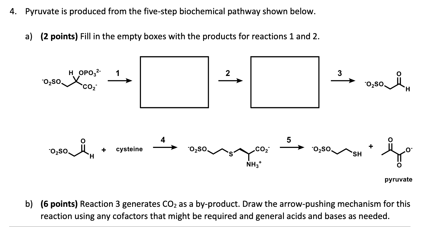 Pyruvate is produced from the five-step biochemical | Chegg.com