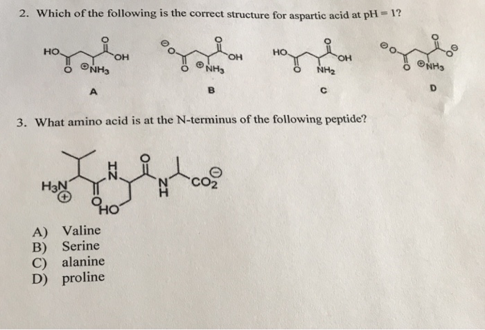 Aspartic Acid Structure At Ph 1