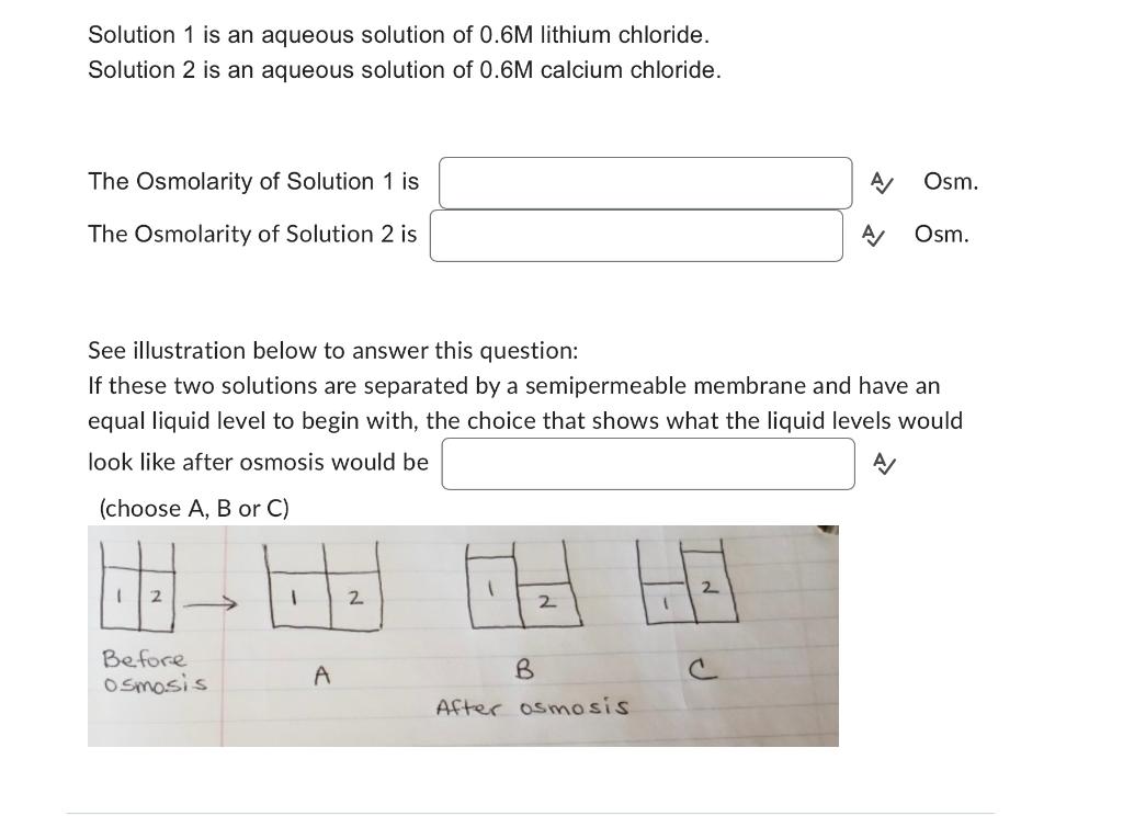 Solved Solution 1 is an aqueous solution of 0.6M lithium | Chegg.com
