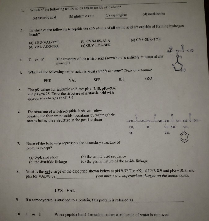Solved 1. Which of the following amino acids has an amide | Chegg.com