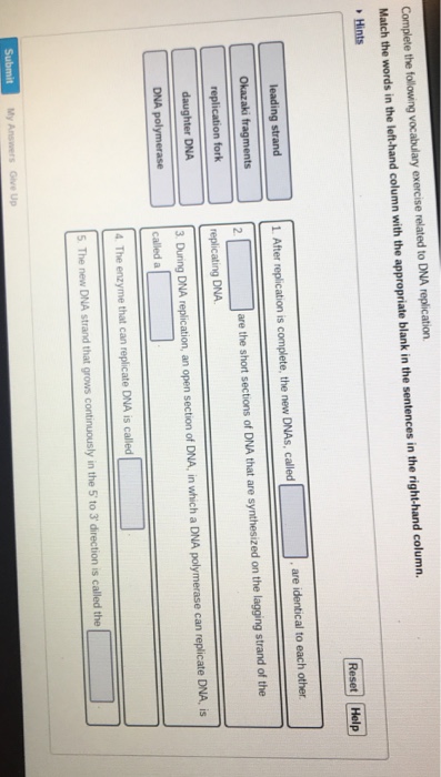 Solved Match the words in the left-hand column with the | Chegg.com