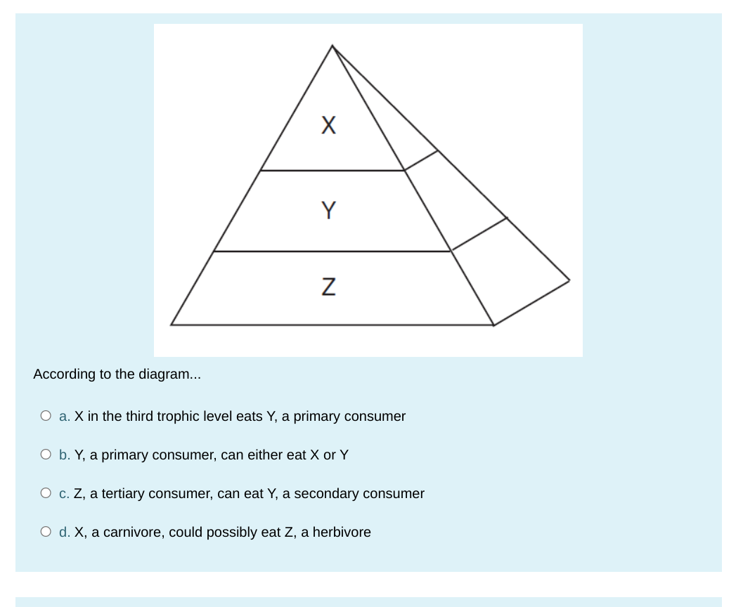 According to the diagram... a. X in the third trophic | Chegg.com