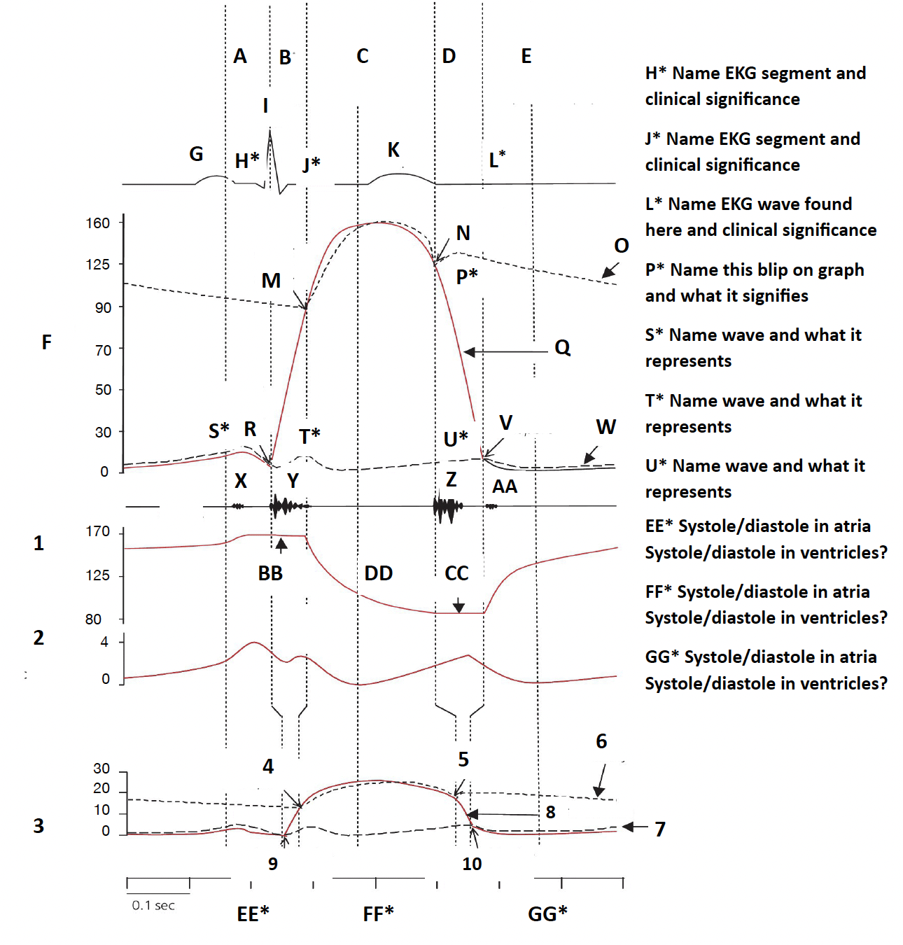 Solved What is happening in the phases B, ﻿C, ﻿D and | Chegg.com