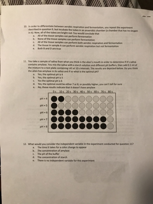 Solved Bio 61 Fall 2018 Practice questions for lab practical | Chegg.com Solved Bio 61 Fall 2018 Practice questions for lab practical | Chegg.com