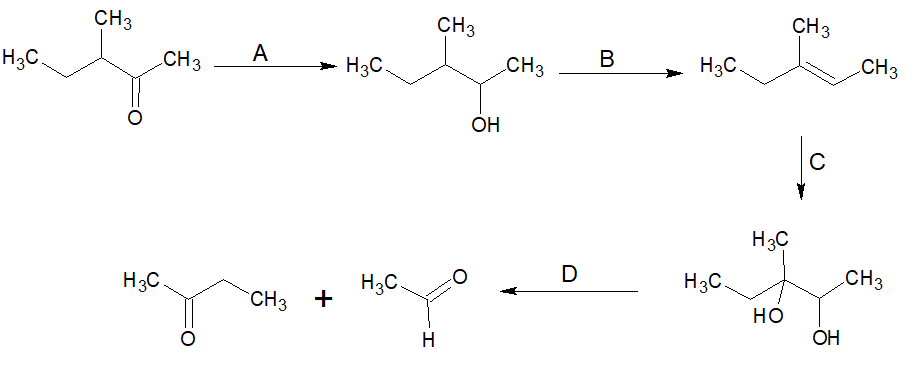 Solved CH3 CH3 CH3 Н.С. CH3 A » НС. CH3 В. Н3С. CH3 ОН с Нас | Chegg.com