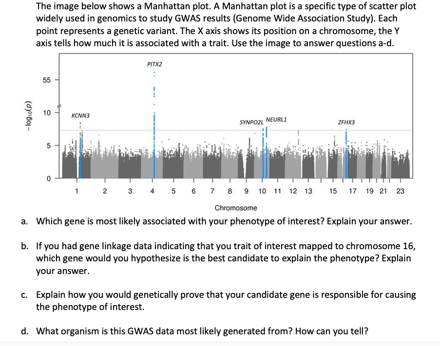 Solved The image below shows a Manhattan plot. A Manhattan | Chegg.com