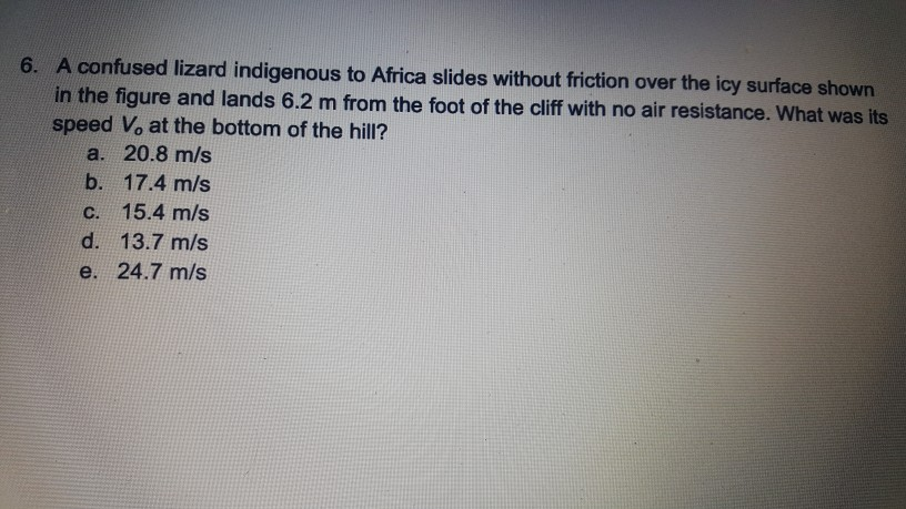 A confused lizard indigenous to Africa slides without | Chegg.com