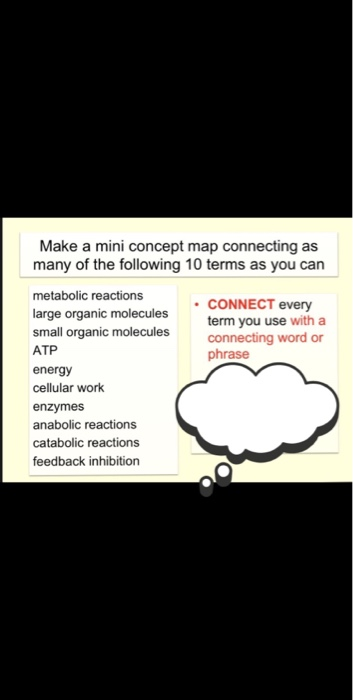 Solved Make a mini concept map connecting as many of the | Chegg.com
