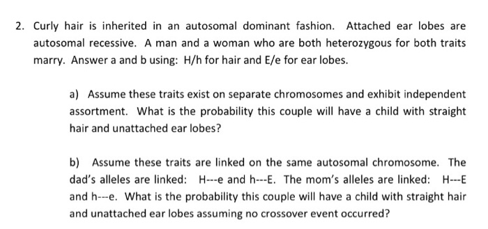 Solved 2. Curly hair is inherited in an autosomal dominant | Chegg.com