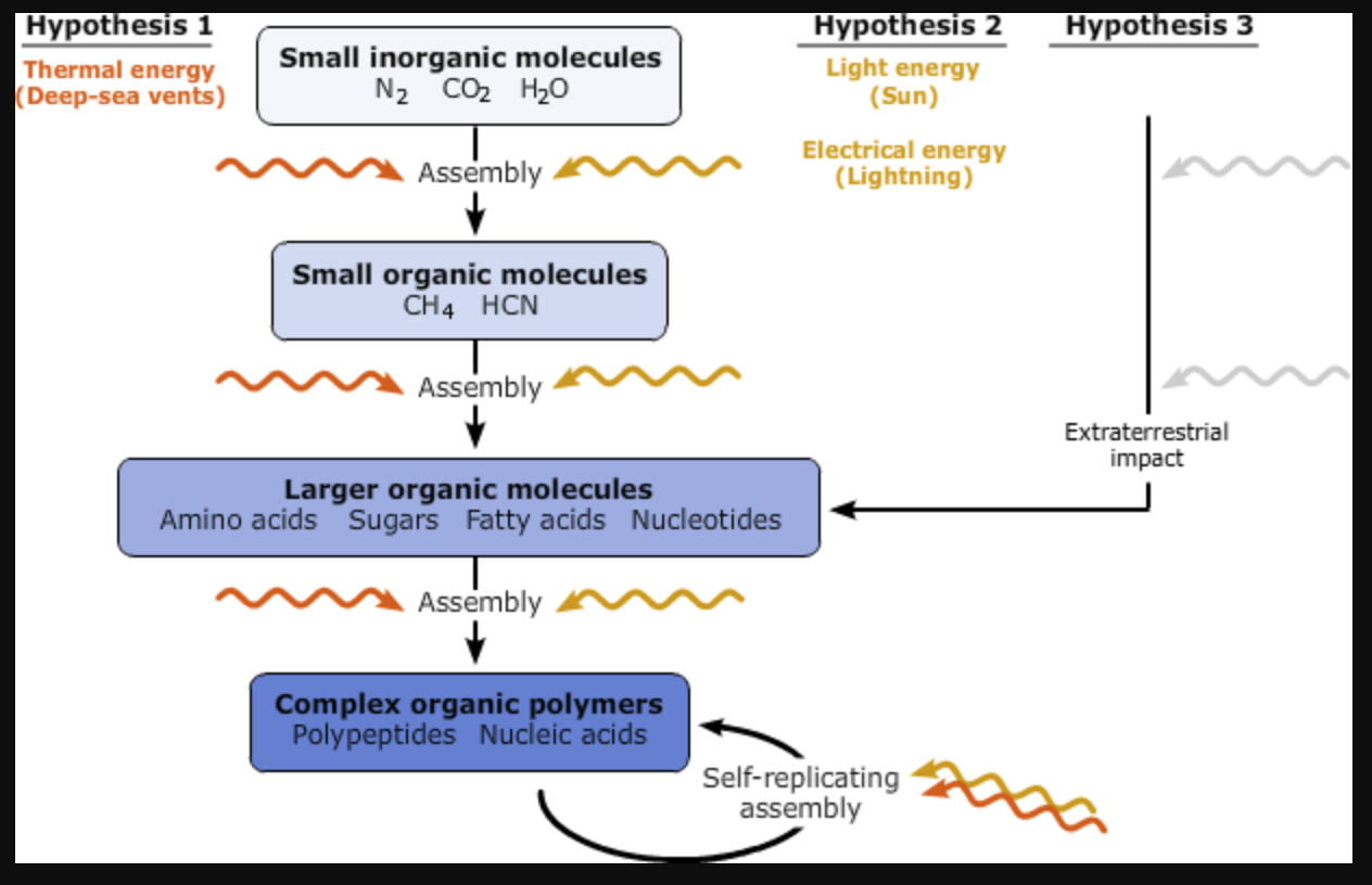 Solved 2. The origin of biologically relevant organic | Chegg.com