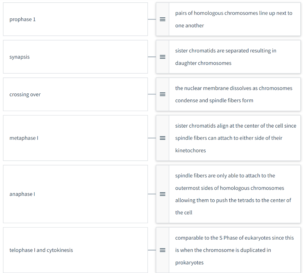 Solved pairs of homologous chromosomes line up next to | Chegg.com
