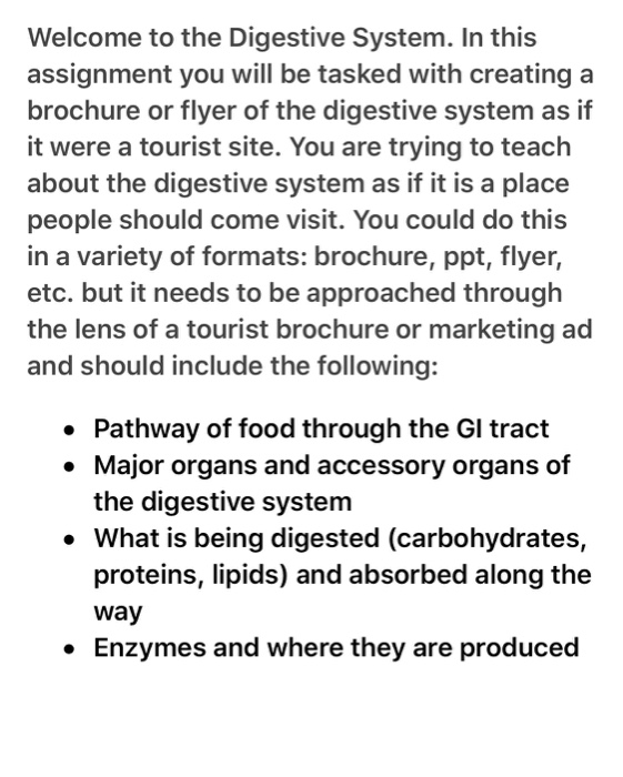 Solved Welcome to the Digestive System. In this assignment | Chegg.com