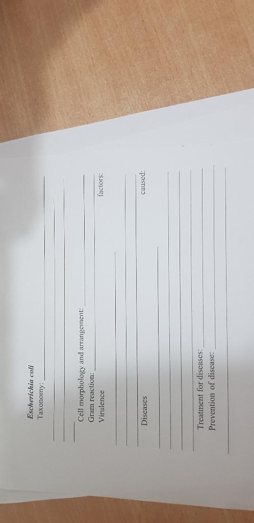 Solved Escherichia coli Taxonomy: Cell morphology and | Chegg.com